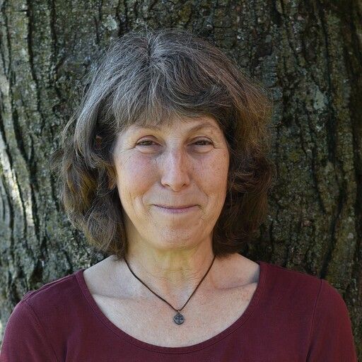 From Killer Bees to ABCs: Robyn Norrbom the Scientist-Turned-Preschool ...