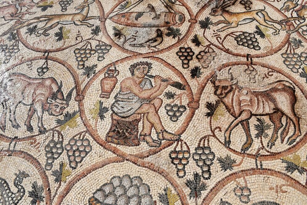Mosaic on Display in the Negev ‘One of the Most Impressive’ Ever Found ...